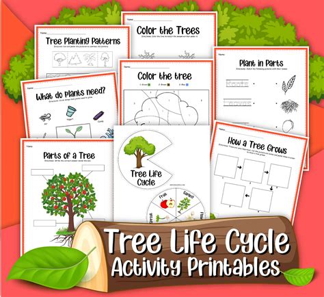 Image result for Tree Lesson