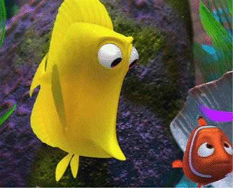 Image result for Finding Nemo Blue Fish