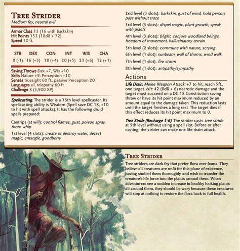 Image result for Strider Tree Gear