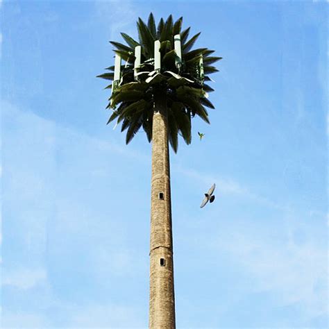 Image result for Fake Tree Cell Tower