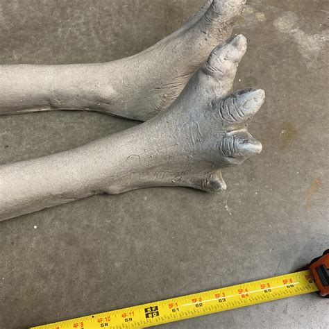 Image result for Alien Body Autopatsy