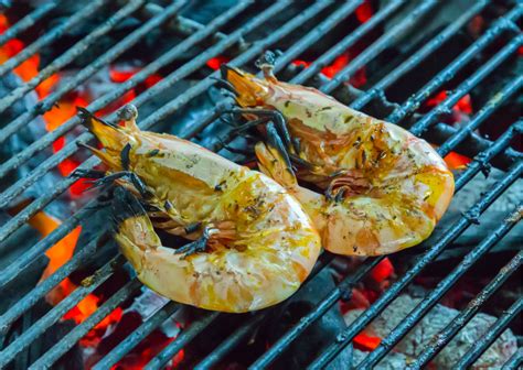 Image result for Catching Prawns