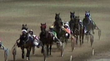 Image result for Course de Chevaux en Direct