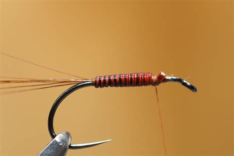 Image result for Fly Tying Using Body Quill