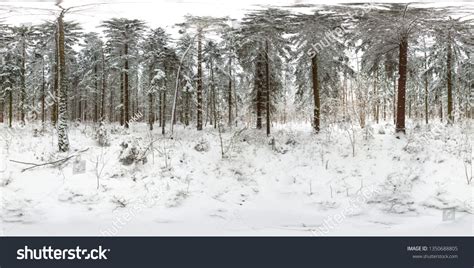 Image result for Equirectangular