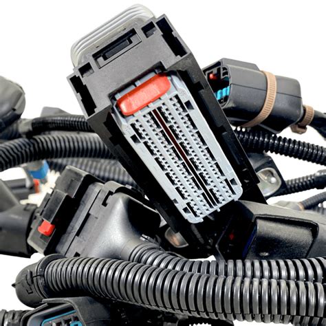 Image result for Engine Control Module Wiring Harness