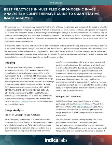 Image result for Multiplex IHC Texture Types Diffuse