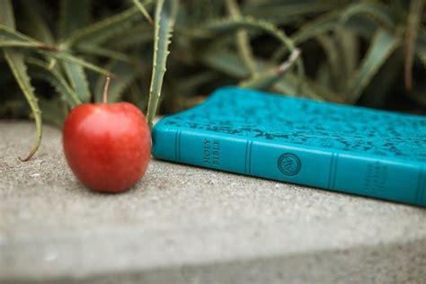 Image result for Na Basic Text PDF