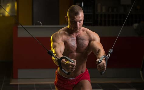 Image result for Standing Chest Fly Exercise