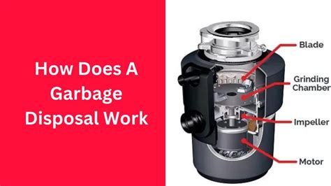 Image result for Garbage Disposal Exploded-View