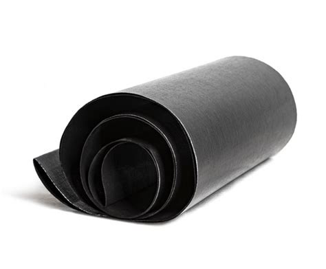 Image result for Tree Root Guide