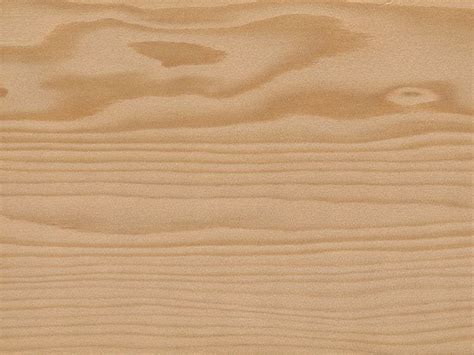 Image result for Hemlock Rustage