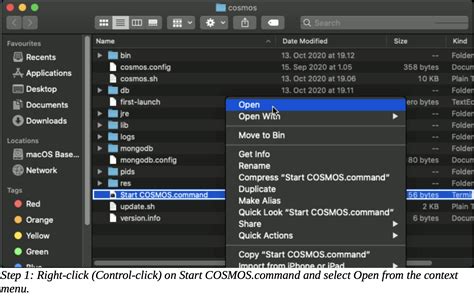 Image result for Cosmos Script Runner with Go To