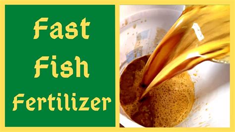 Image result for Fish Fertilizer Process