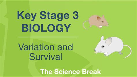 Image result for Variation Science