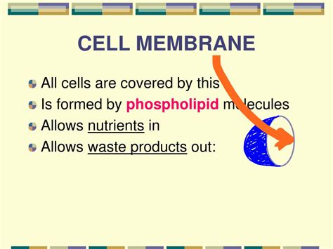 Image result for Basic Unit of Life