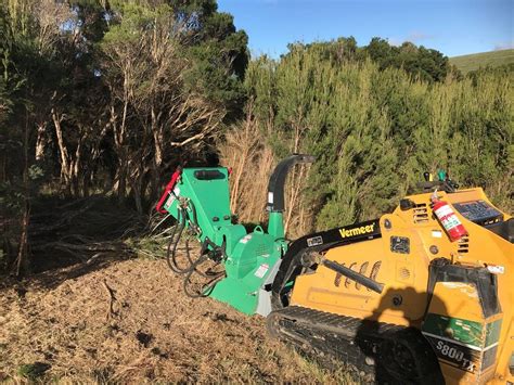 Image result for Tree Lopper Lift