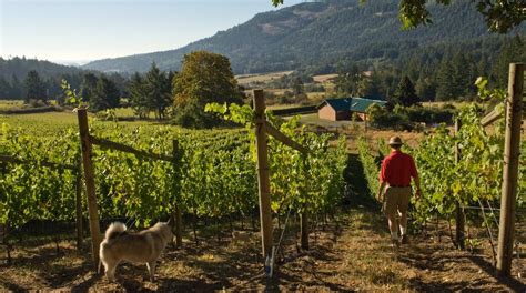 Image result for Local Salt Salt Spring Island