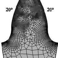 Image result for Paper Mesh Software