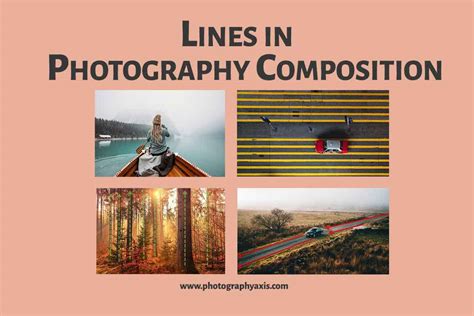 Image result for Examples of Line in Photography