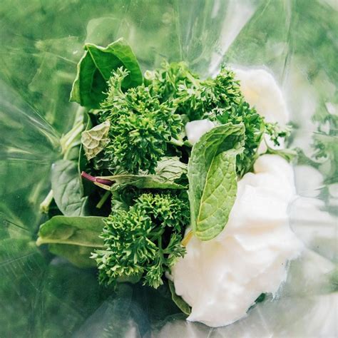 Image result for Homemade Toothpaste Breath Mints