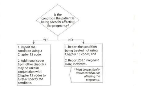 Image result for Coding Obstetrical Cases