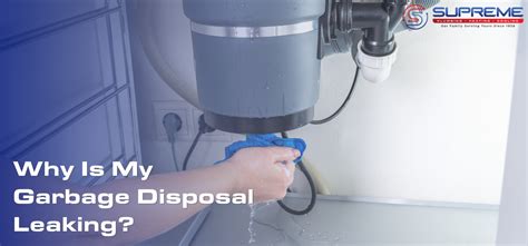 Image result for Leaking Garbage Waste Disposal