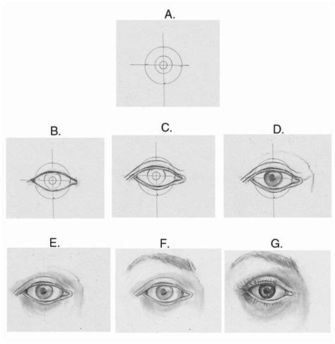 Image result for Face Tutorial Drawing Starter