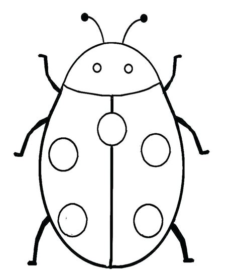 Image result for Ladybug Line Drawing