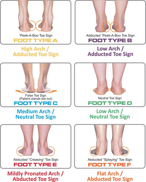 Image result for Different Types of Toes