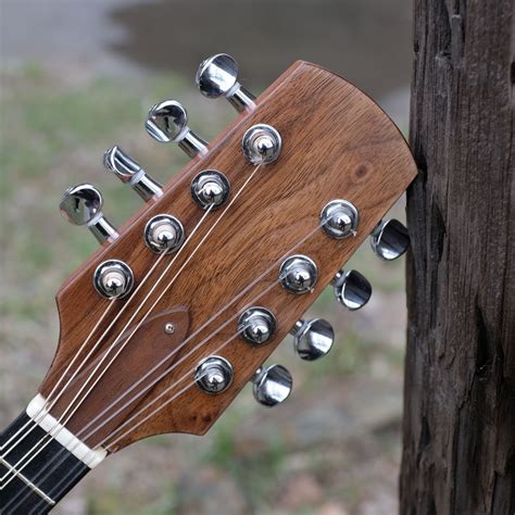 Image result for Nylon String Mandolin