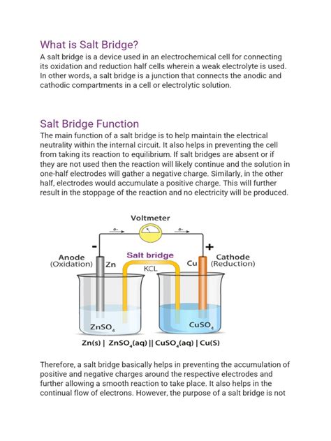 Image result for Practical of Salt Bridge