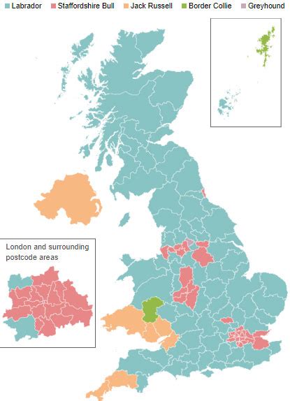 Image result for Normal Map Dog