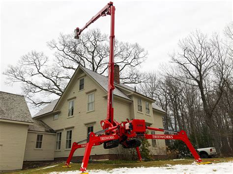 Image result for Tree Lift