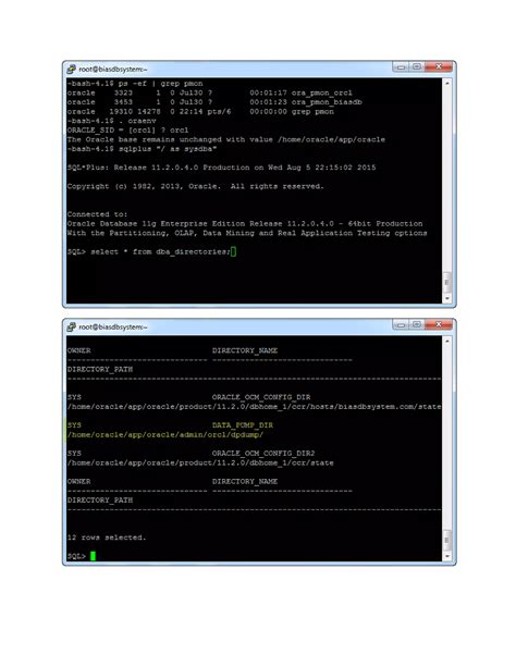 Image result for Oracle DMP File Import