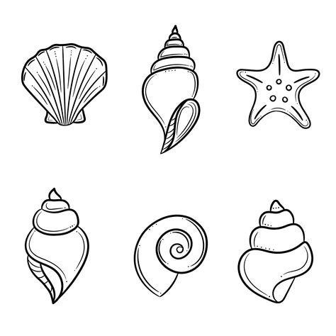 Image result for Seashell Shape Drawing Basic