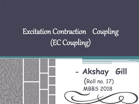 Image result for Excitation Coupling Contraction-Relaxation
