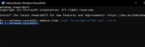 Image result for Force Delete File