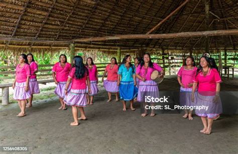 Image result for Amazon Forest Humans