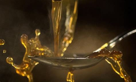 Image result for Quebec Maple Syrup Producers Quebec Maple Syrup Production