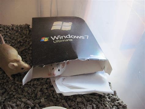 Image result for Sideloadly Not Detecting Device