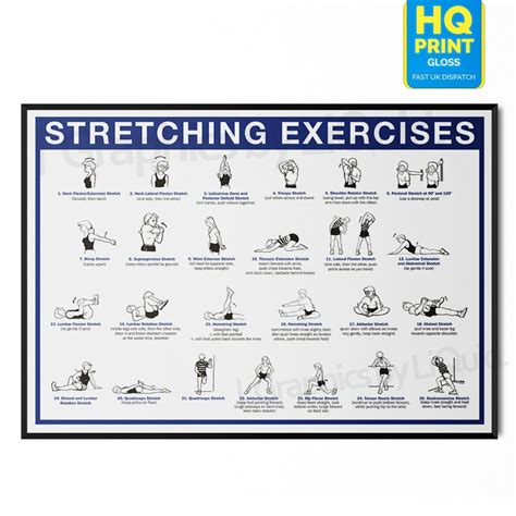 Image result for Stretching Exercise Chart