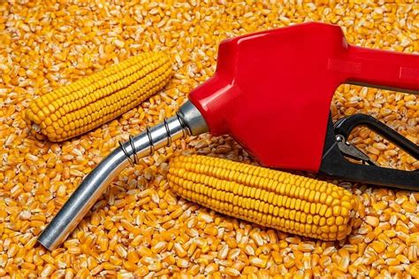 Image result for Corn-Based Bioethanol