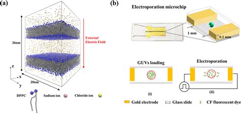 Image result for Microchip Mindi Simulation Example