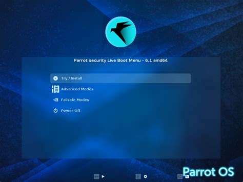Image result for Dual Boot Parrot OS