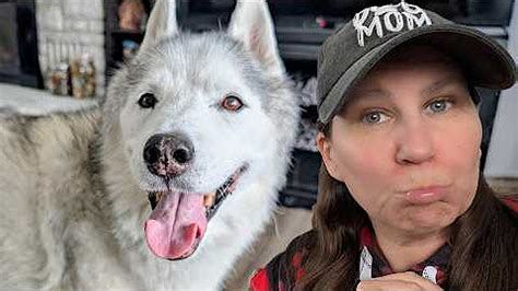 Image result for Snow Dogs Vlogs Mail