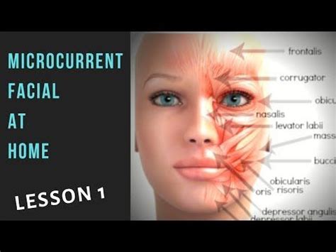 Image result for Microcurrent Facial Tutorial