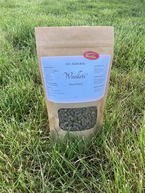 Image result for Shellz Bels Wooli