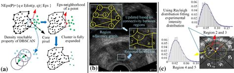 Image result for Sample Image to Implement Homomorphic Filtering for Region Based Segmentation