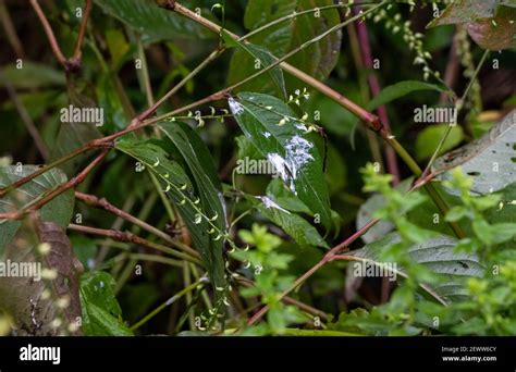 Image result for Toothpaste Pollution